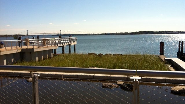 Gone fishin': Hunts Point Landing Park now open to everyone - City Atlas