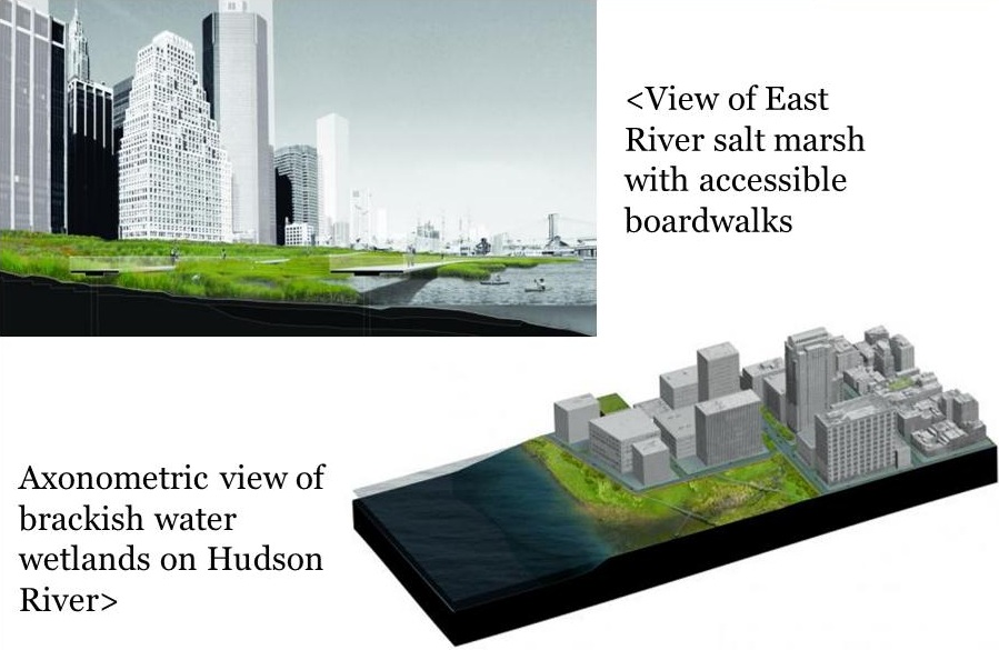 Revisiting the Rising Currents solutions: creating buffer zones for the ...