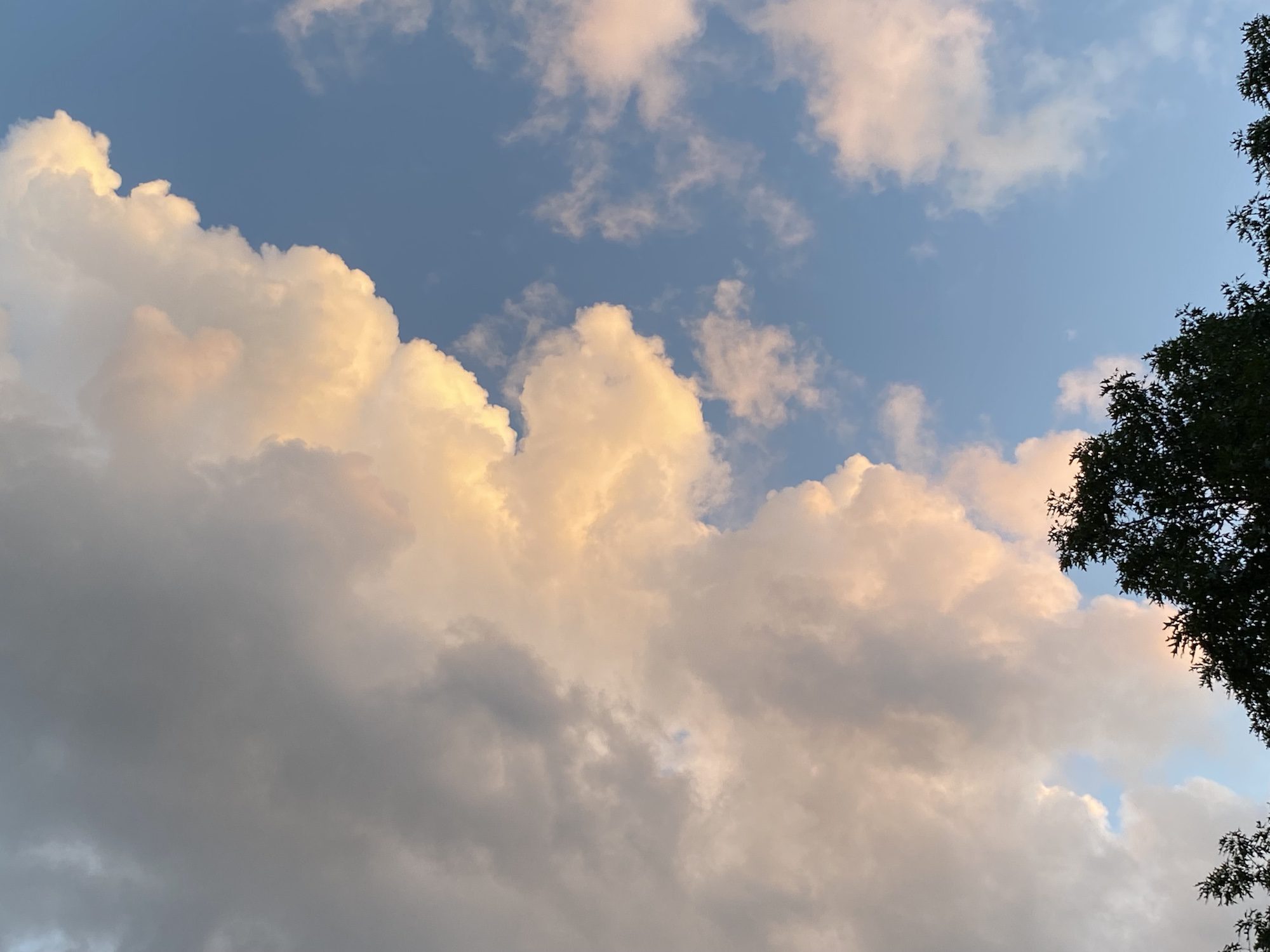 Alice Hu - City Atlas