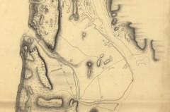 Muscota Marsh: the recent return of a wetland habitat in upper ...