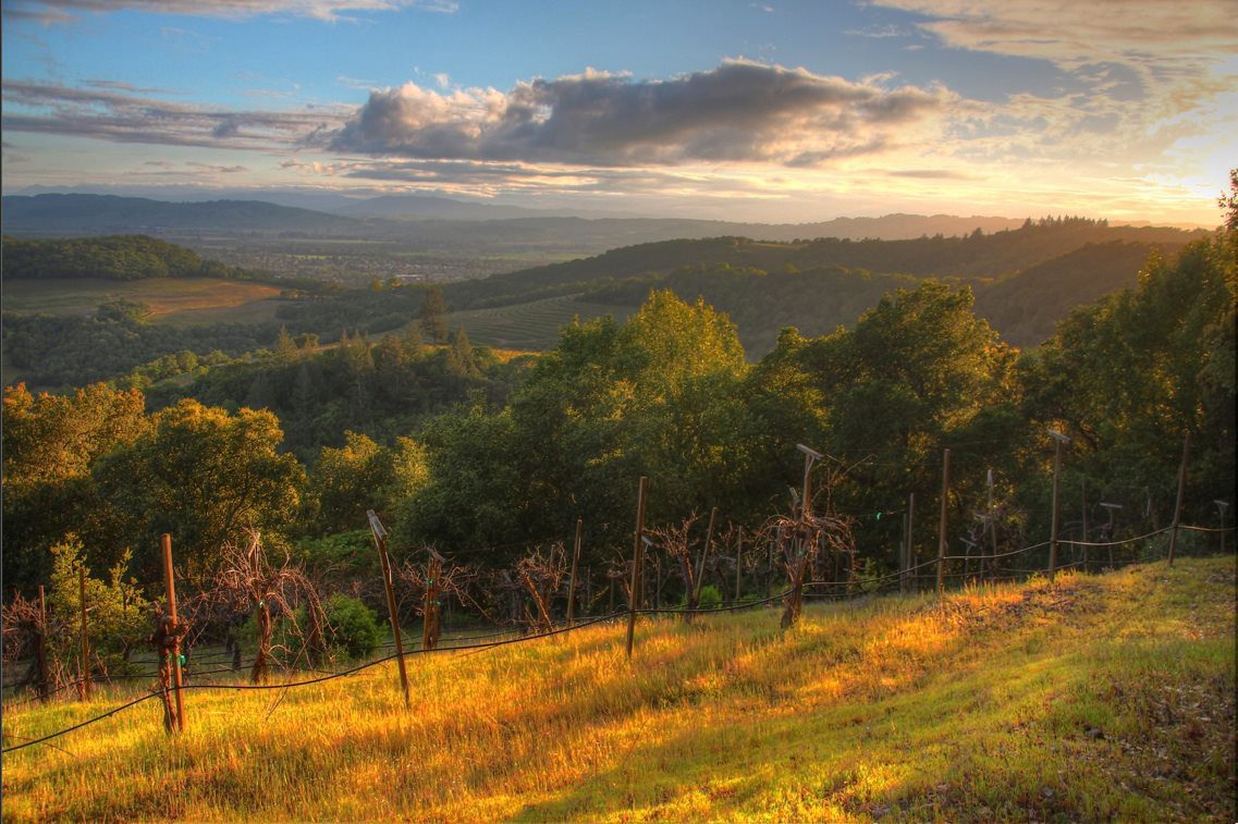 Kim Nicholas - City Atlas