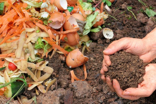 Turn & Learn: NYC Compost Project - City Atlas