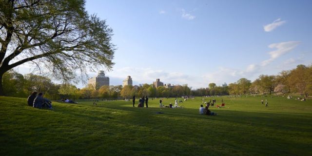 Prospect Park Walking Tour - City Atlas