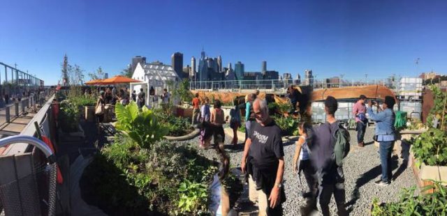 Visit Swale at Brooklyn Army Terminal Pier 4 - City Atlas